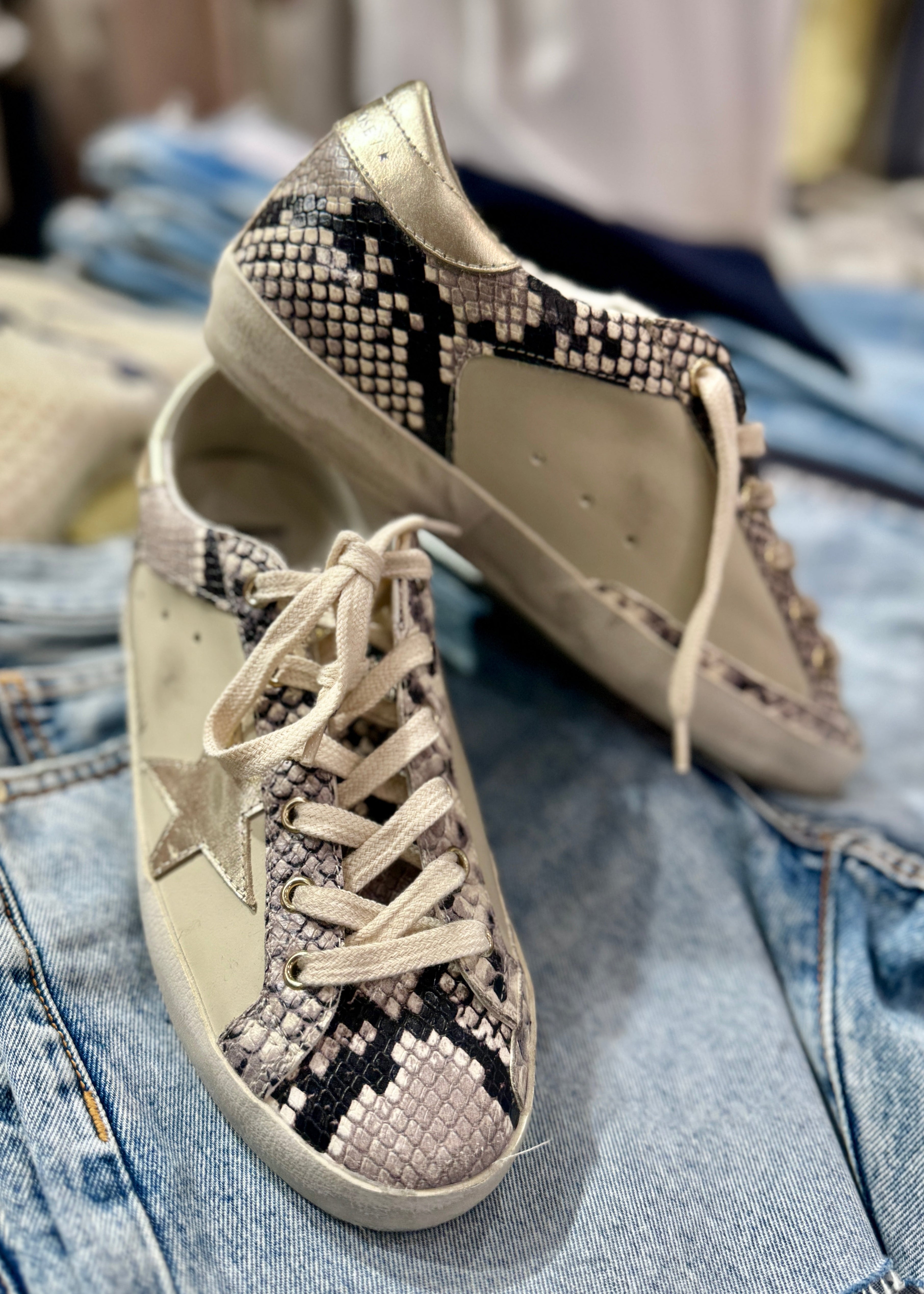 SUPER STAR PYTHON – M.